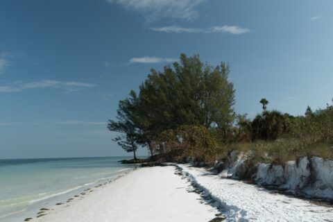 Bean Point Anna Maria Island: The Island’s Hidden Gem ...