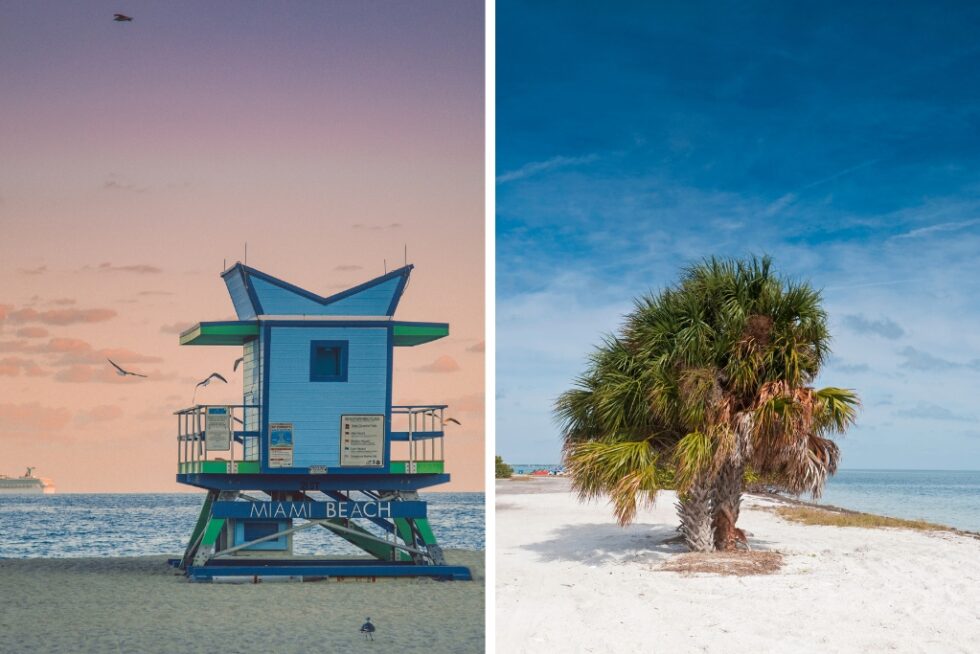 Miami vs Tampa: Which Is Better For Your Vacation ...