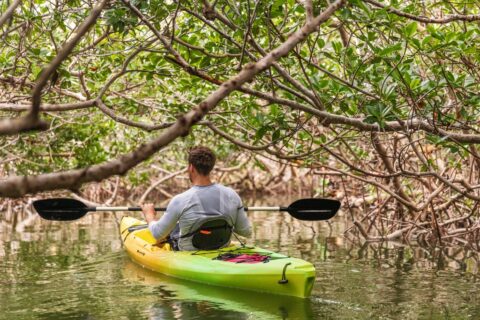 The Best Kayak Rentals & Tours In Lido Key Florida ...