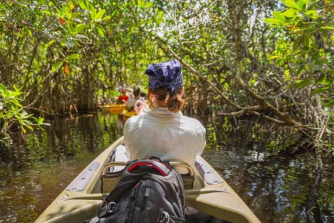 The Best Kayak Rentals & Tours In Lido Key Florida ...
