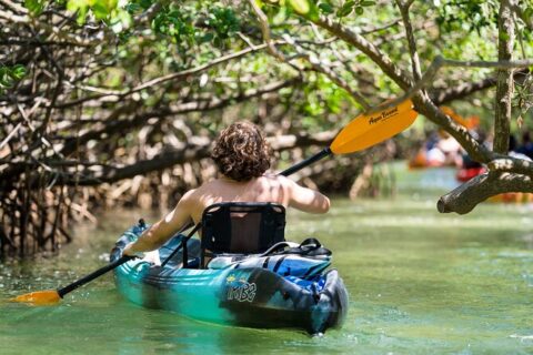 The Best Kayak Rentals & Tours In Lido Key Florida ...