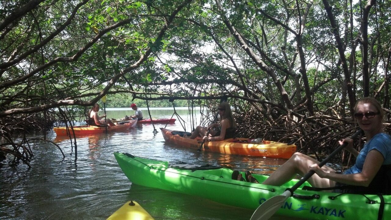The Best Kayak Rentals & Tours In Lido Key Florida ...