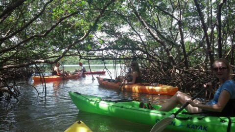 The Best Kayak Rentals & Tours In Lido Key Florida ...