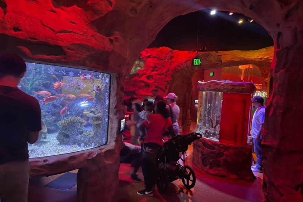 ICON Park Orlando: Complete Visitor’s Guide ...