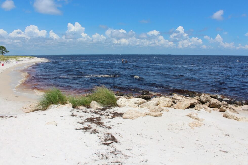 19 Awesome Beaches Near Tallahassee Florida ...