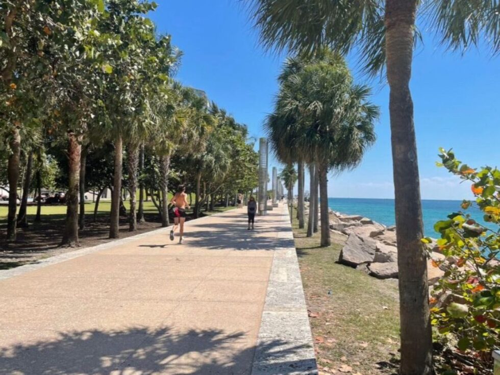 Is Miami Safe? Everything To Know Before Visiting ...