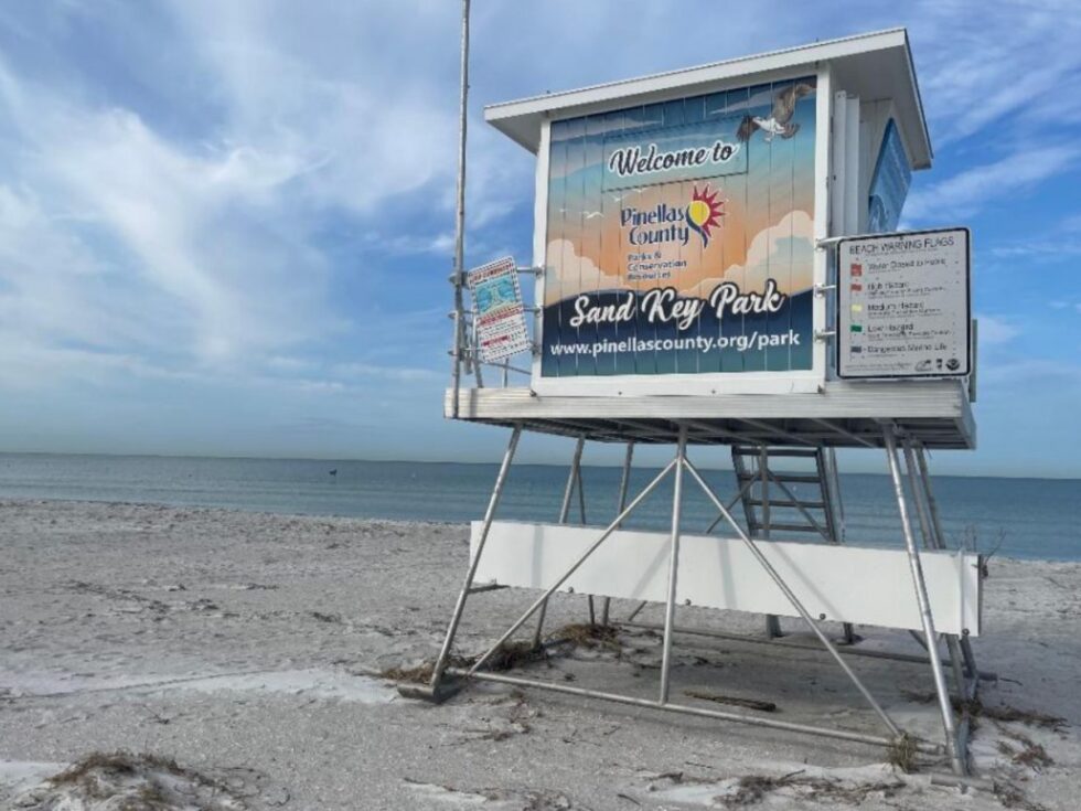 Sand Key Park: Things To Know Before Visiting ...