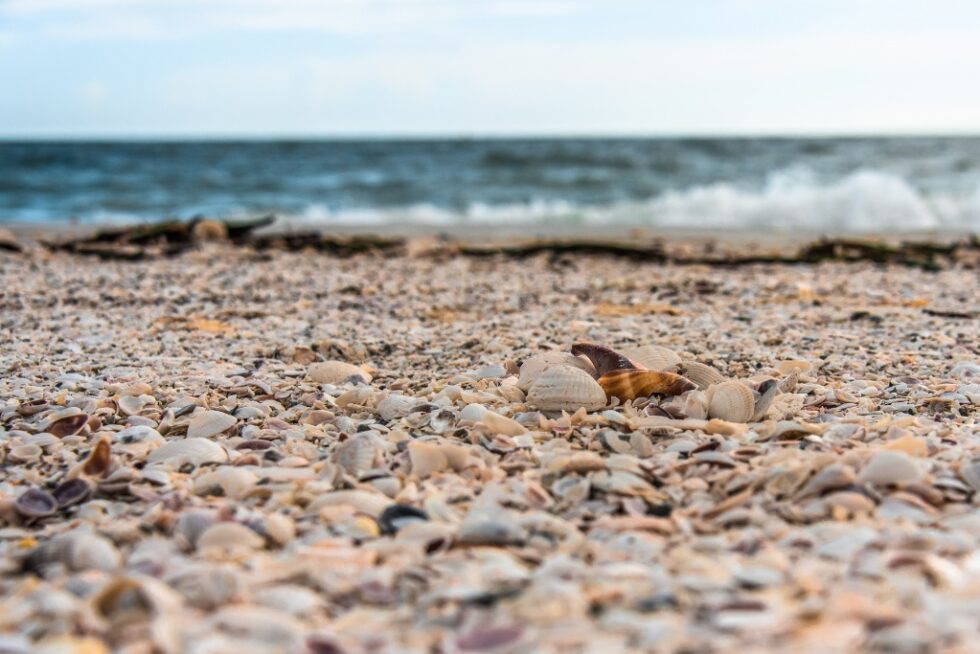 19 Awesome Beaches Near Tallahassee Florida ...