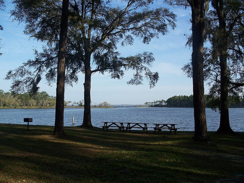 30 Amazing Things To Do In 30A Florida! - discoverwestcentralflorida.com